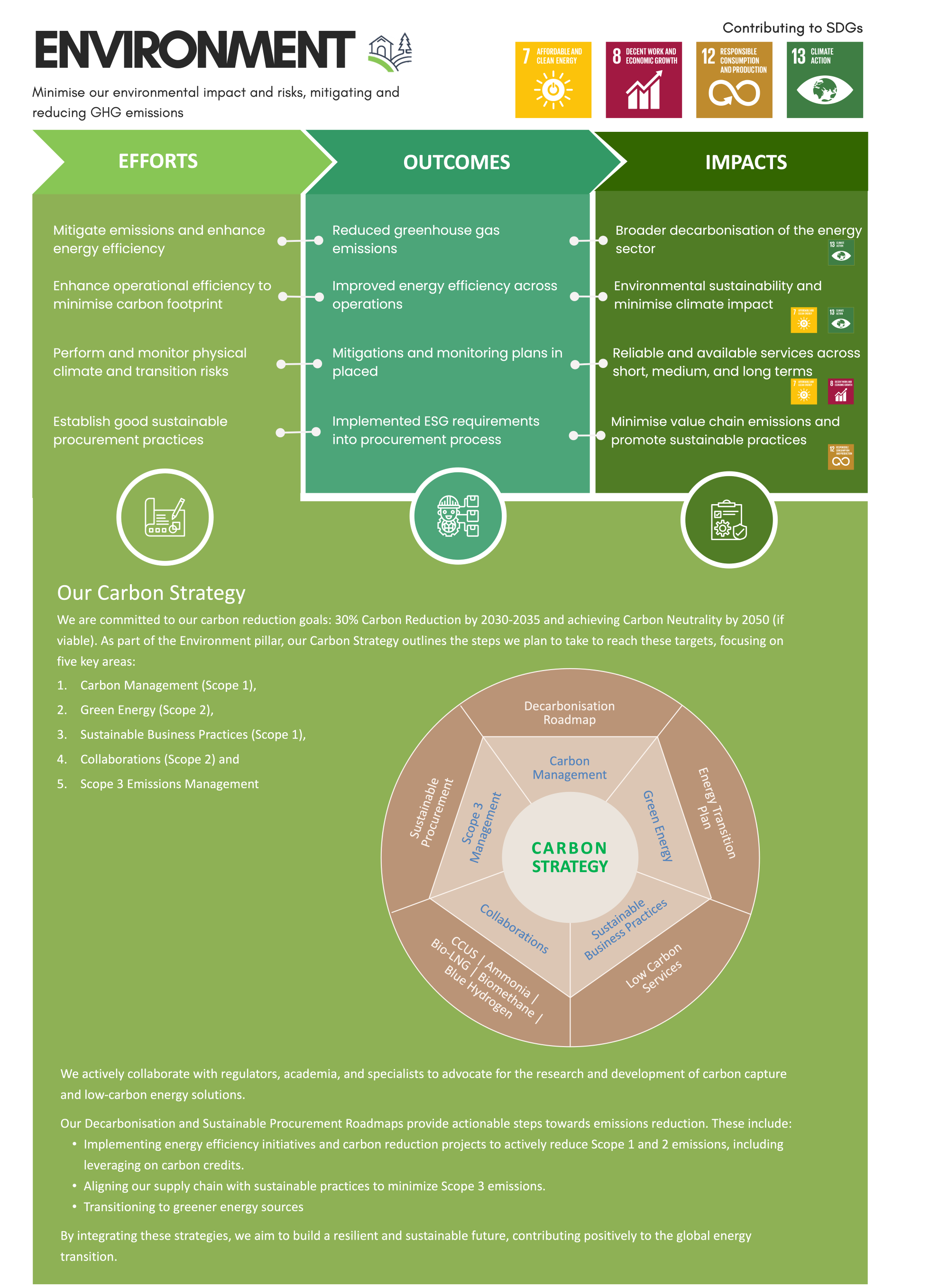 Our Sustainability Strategy | SLNG